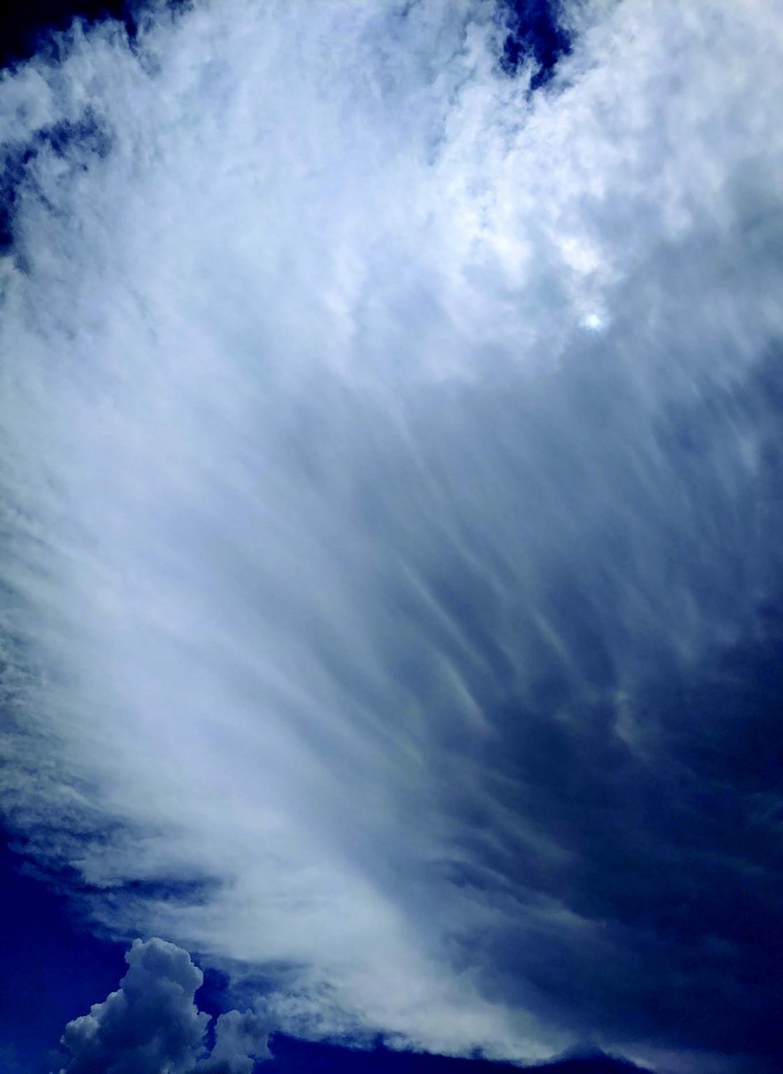 Home | Author Matthew Douglas Pinard