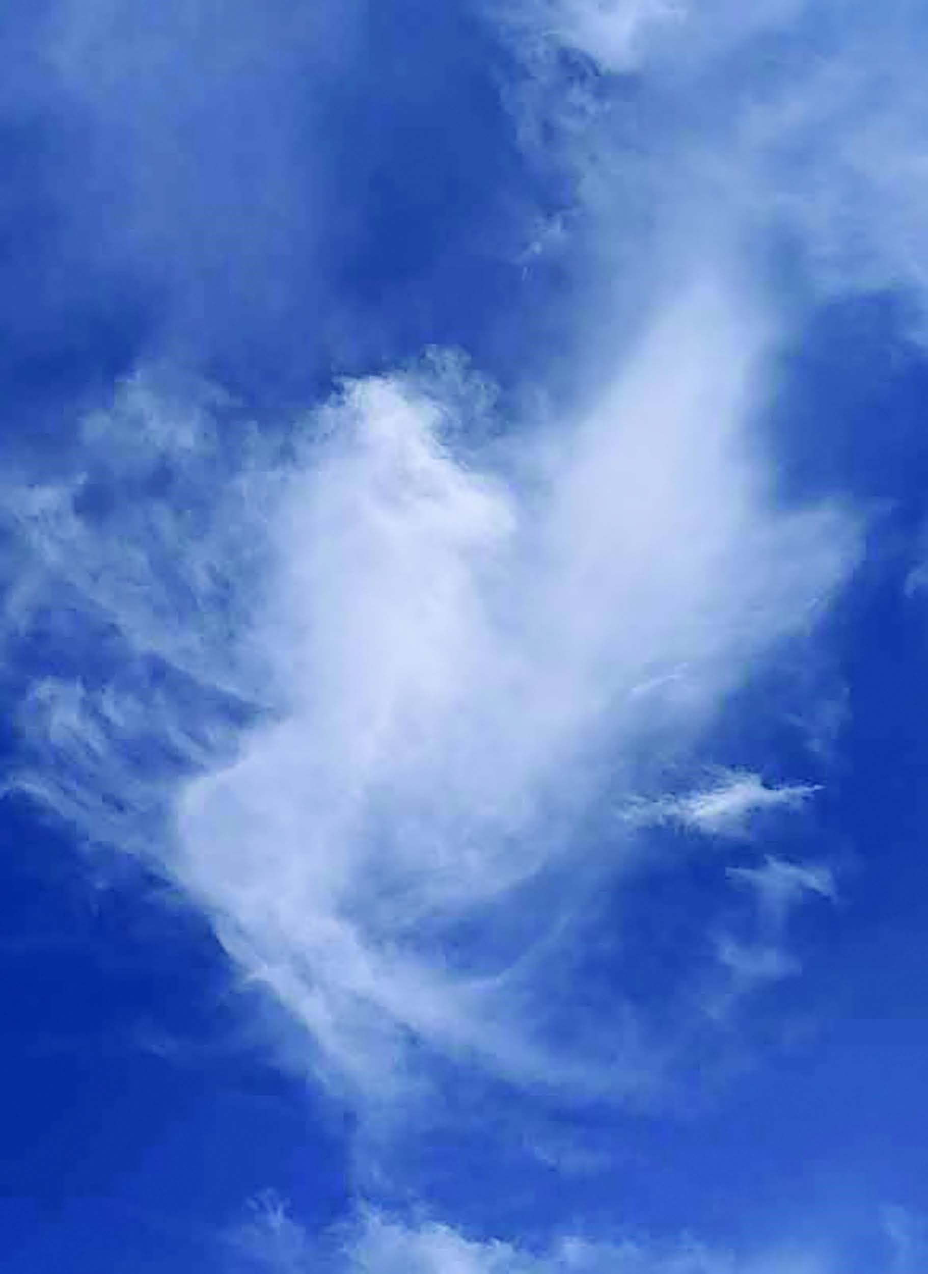 Home | Author Matthew Douglas Pinard