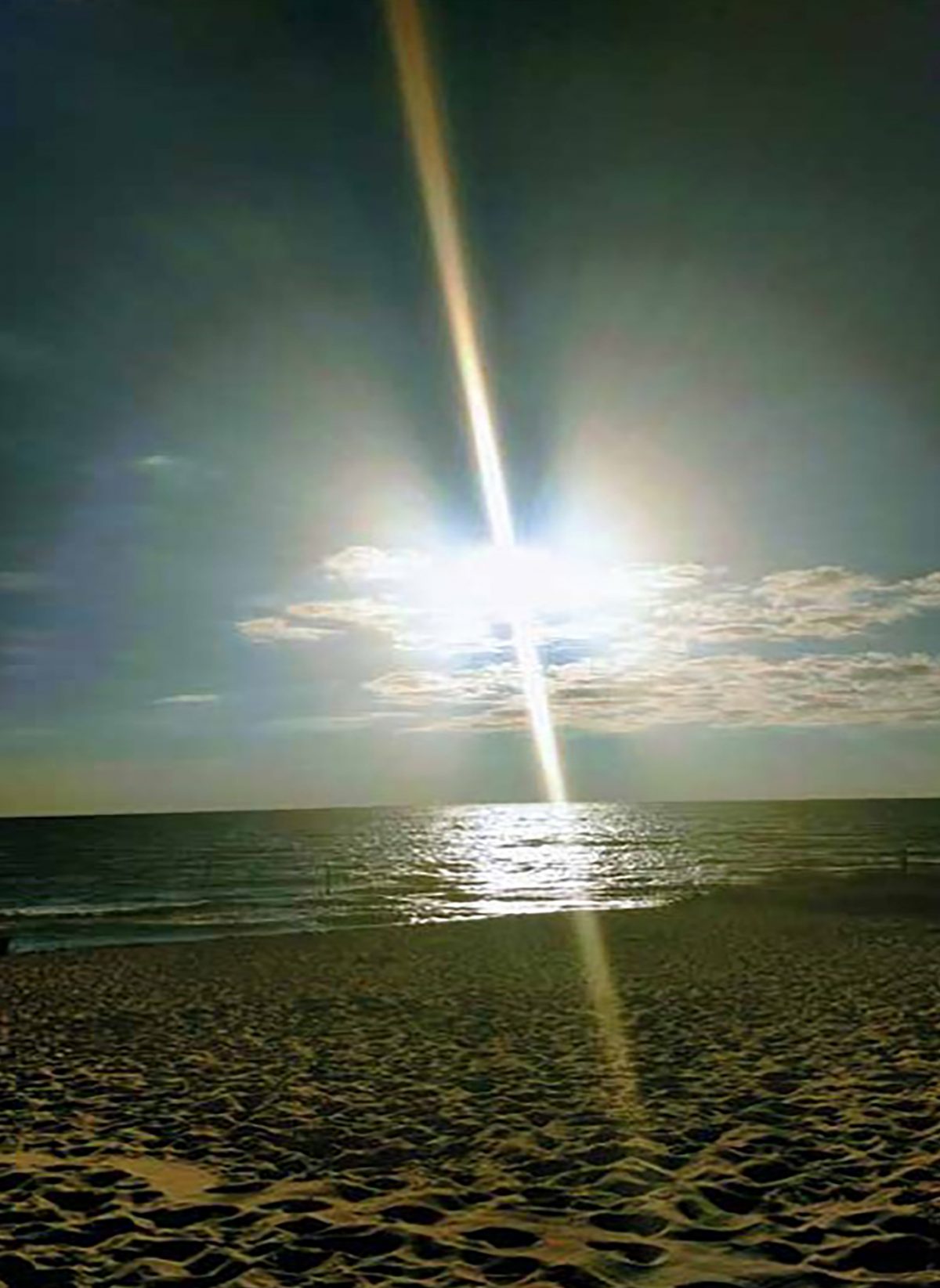 Home | Author Matthew Douglas Pinard