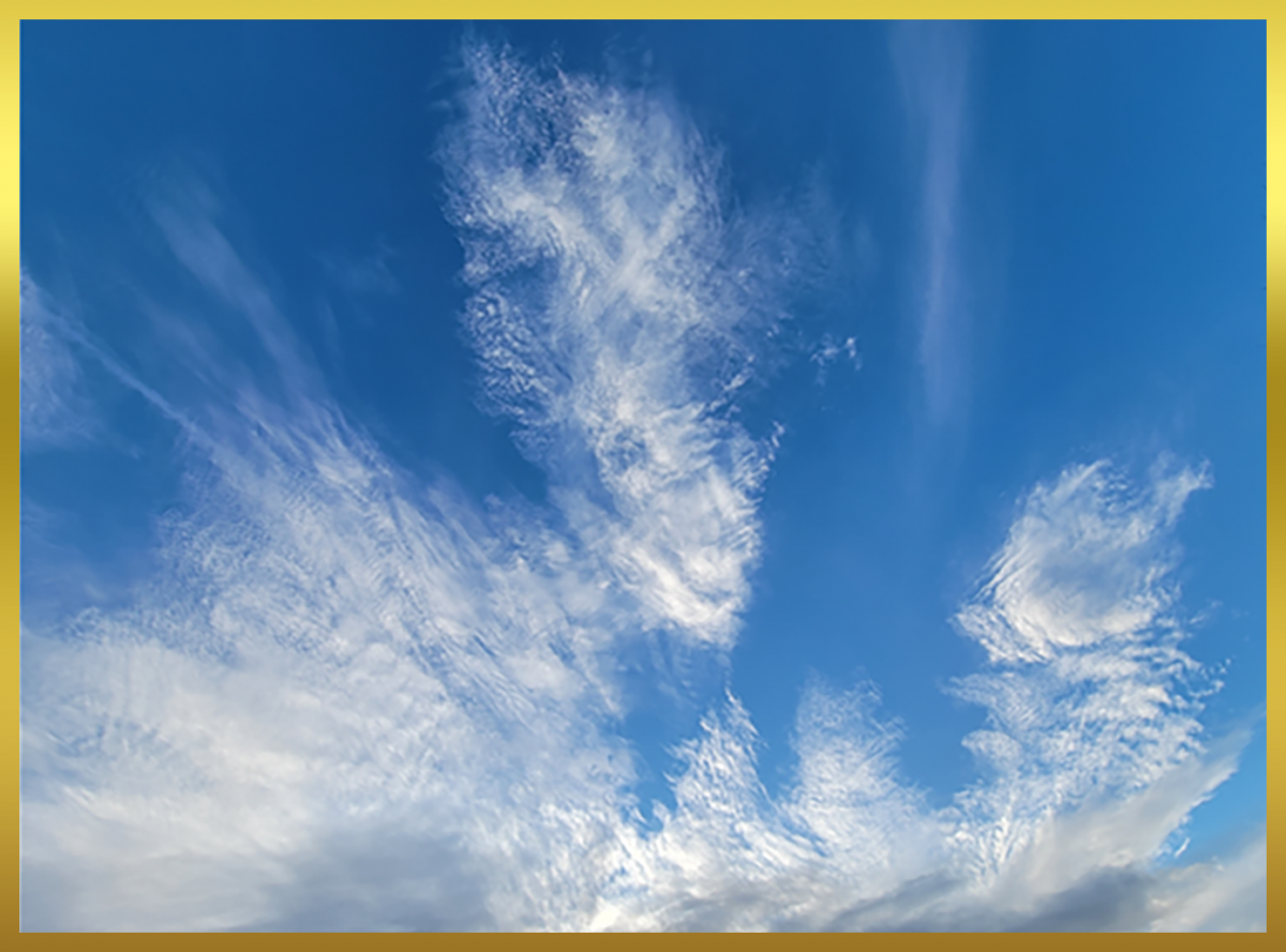 Home | Author Matthew Douglas Pinard