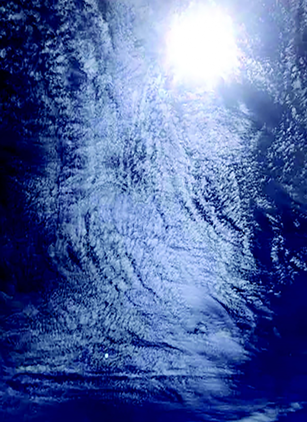 Home | Author Matthew Douglas Pinard