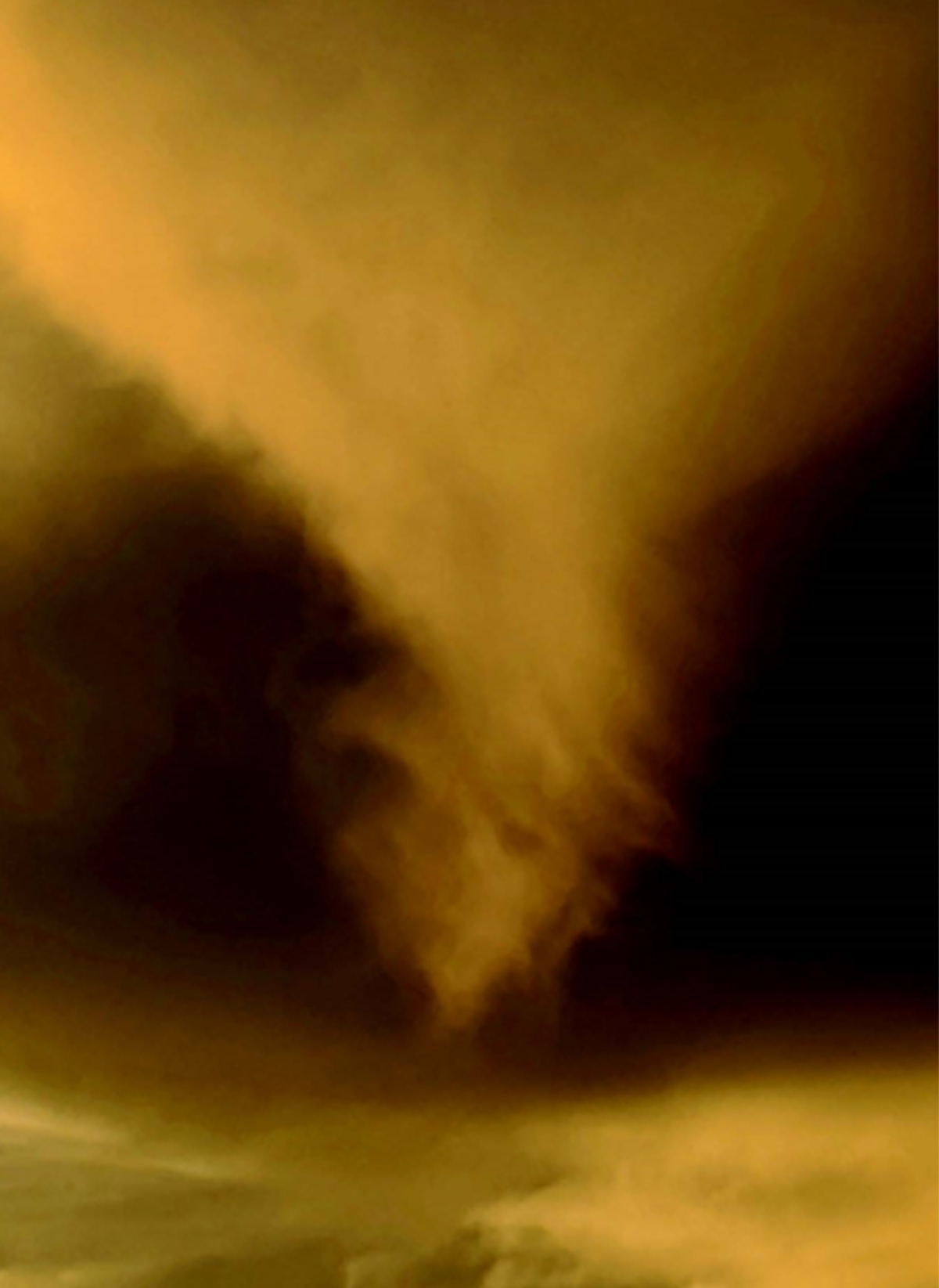 Home | Author Matthew Douglas Pinard